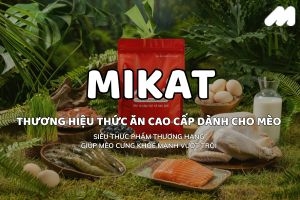 MI-KAT – Thức Ăn Cao Cấp Cho Mèo | Dinh Dưỡng Chuẩn Thú Y